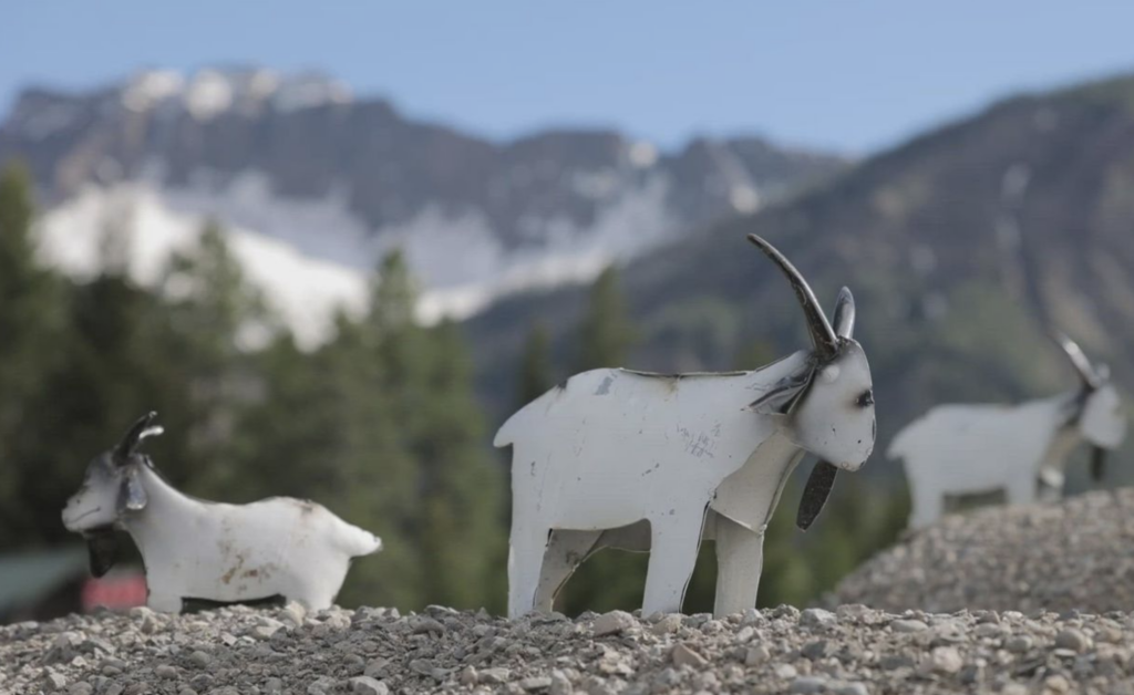 Everyday Intuition Podcast: The GOAT Intuition Story - Susan Gorman